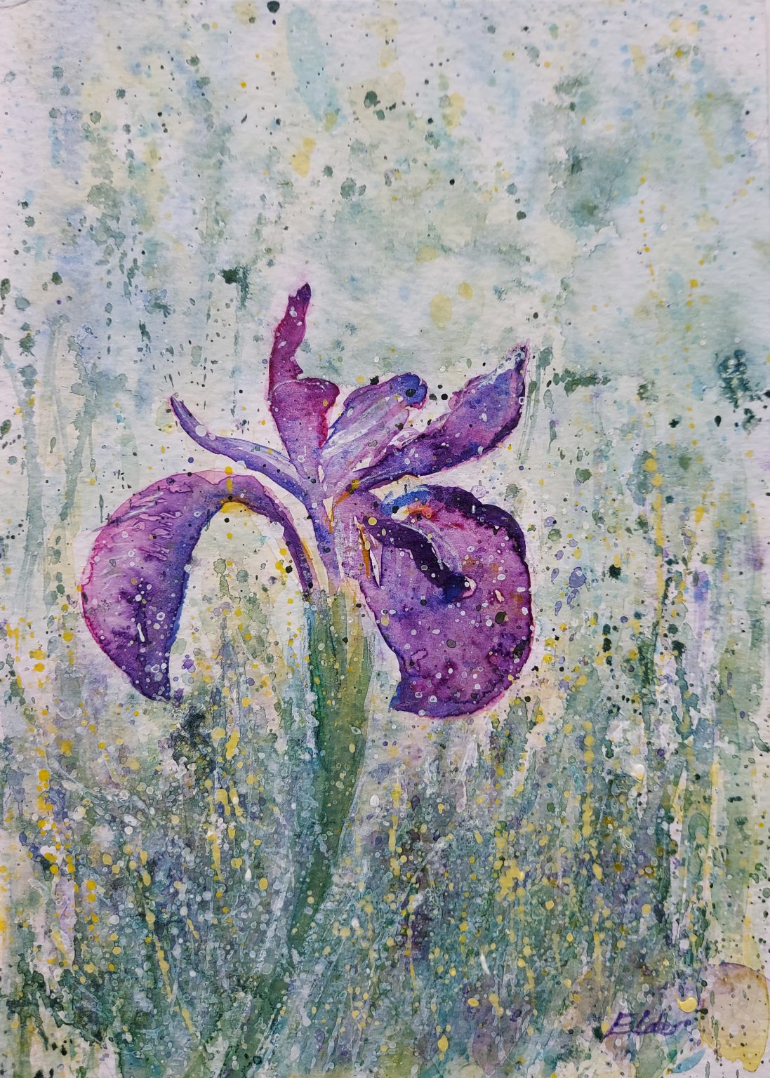 Landscapes and Still Life | Sarah Elder Art